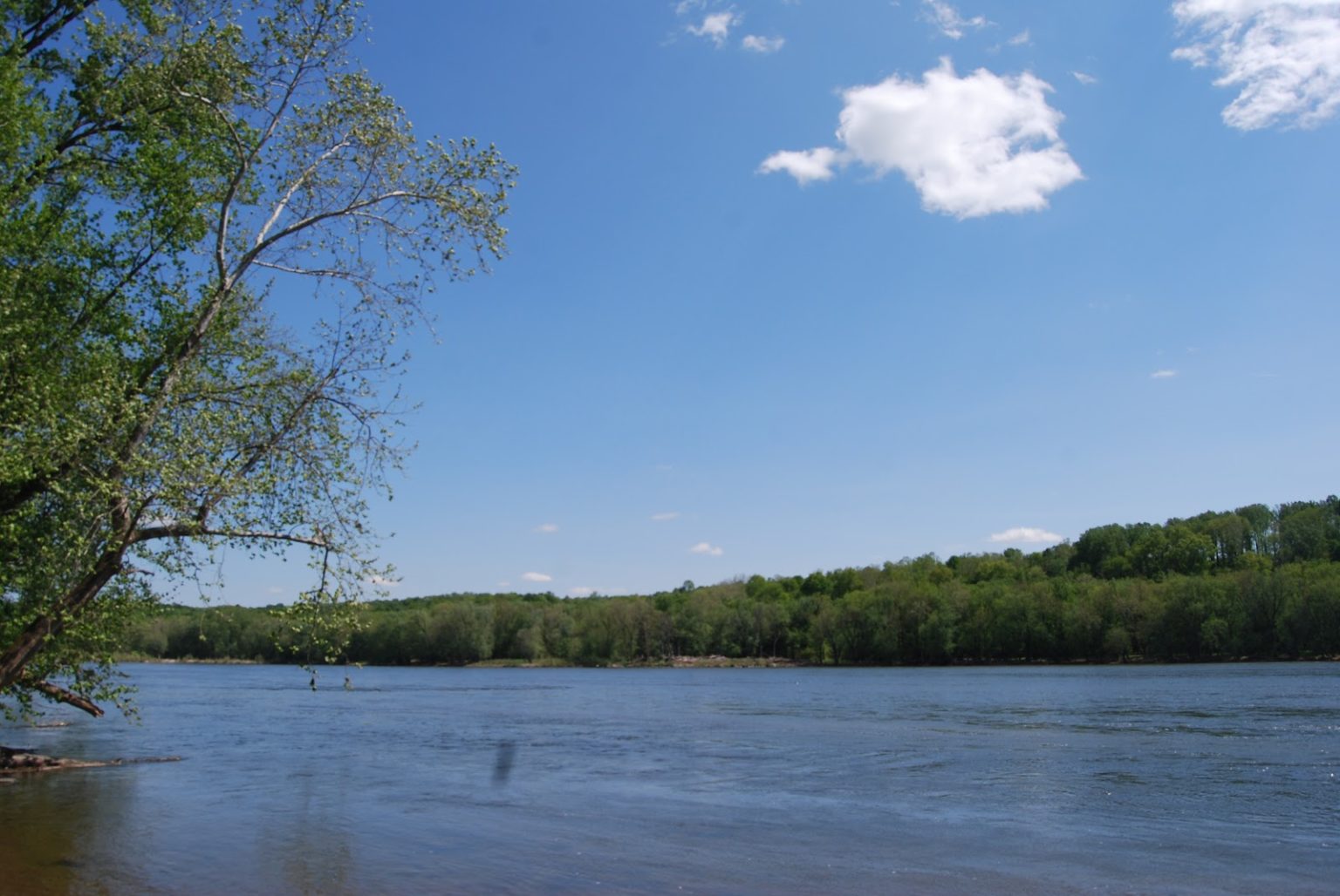 Potomac River for Recreational Fun Close To DC | River & Trail
