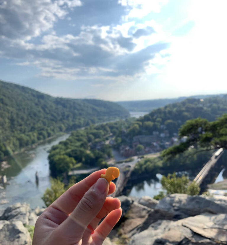Best Hikes in Harpers Ferry, WV | River & Trail Outfitters